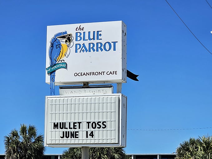 The beacon of beach hunger! This iconic sign has guided hungry beachgoers to seafood salvation for generations of St. George visitors.
