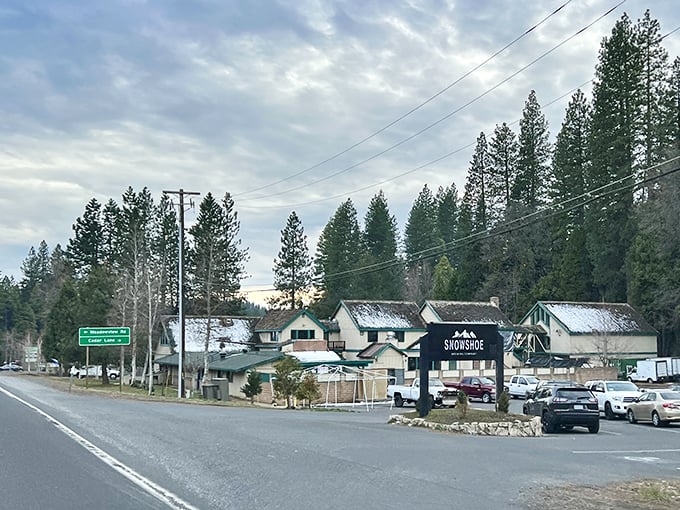 Snowshoe Brewing Company's rustic outpost promises craft beers that taste even better after a day of mountain adventures—or just watching other people have them.