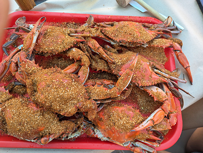 Steamed blue crabs dusted with fiery Old Bay seasoning—Maryland's edible state treasure. These red beauties transform dinner into a delicious full-contact sport.