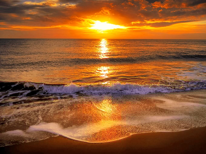 When the sun sets on Anna Maria Island, the sky puts on a show that makes fireworks seem redundant. Nature's grand finale happens every single evening.