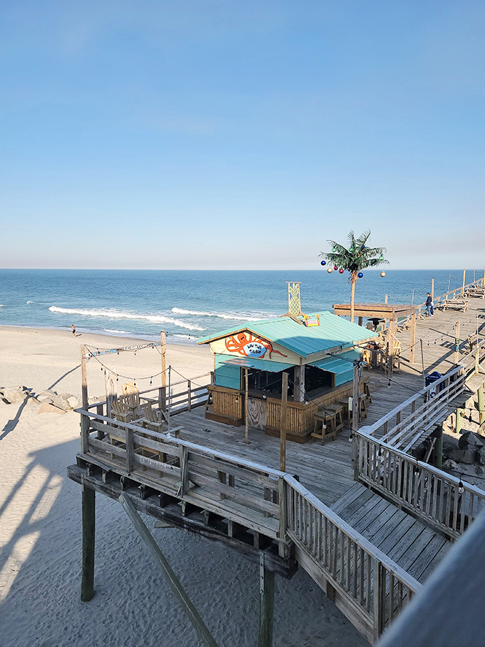 The quintessential beach bar—where frozen drinks taste better under fake palm trees and the ocean provides the soundtrack.