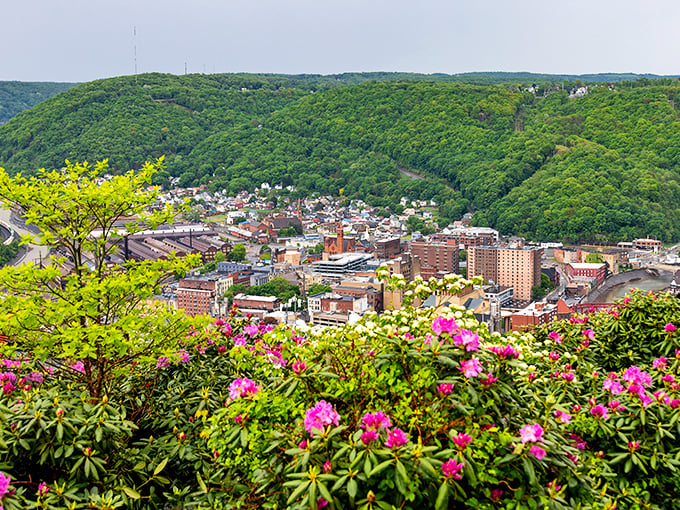 From this hillside vantage point, Johnstown nestles into its valley like it was made for this exact spot – a perfect marriage of town and terrain.
