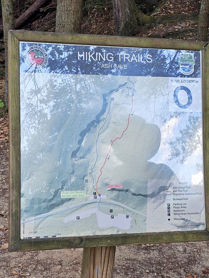 Trail maps: the original GPS system that never needs charging. This one promises adventure without the dreaded "recalculating" voice.