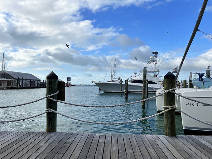 The view that comes complimentary with your meal—boats bobbing in crystal waters under that famous Florida sky that painters try to capture.