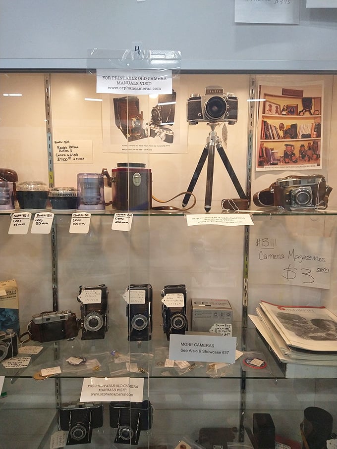 From Kodak moments to collector's items—these cameras captured someone's memories before becoming memories themselves.