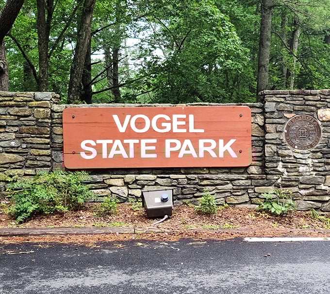 The entrance sign stands as both welcome and promise—beyond these stones lies an escape from everything that beeps, pings, or demands.