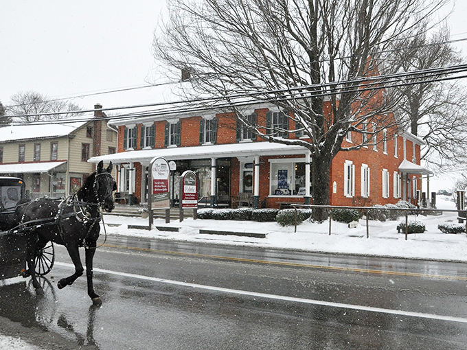 Winter transforms Intercourse into a snow globe scene – with horse-drawn buggies creating picture-perfect moments straight from a holiday card.