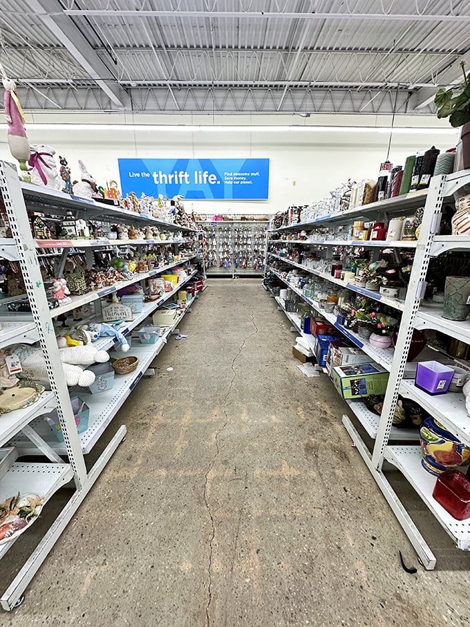 "Live the thrift life" isn't just a slogan – it's the philosophy that guides these treasure-filled aisles of possibility.