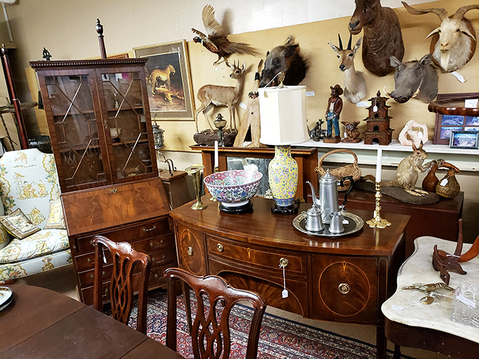 A collector's dream corner where mahogany furniture meets mounted wildlife – proof that one person's eccentric is another person's perfect fin