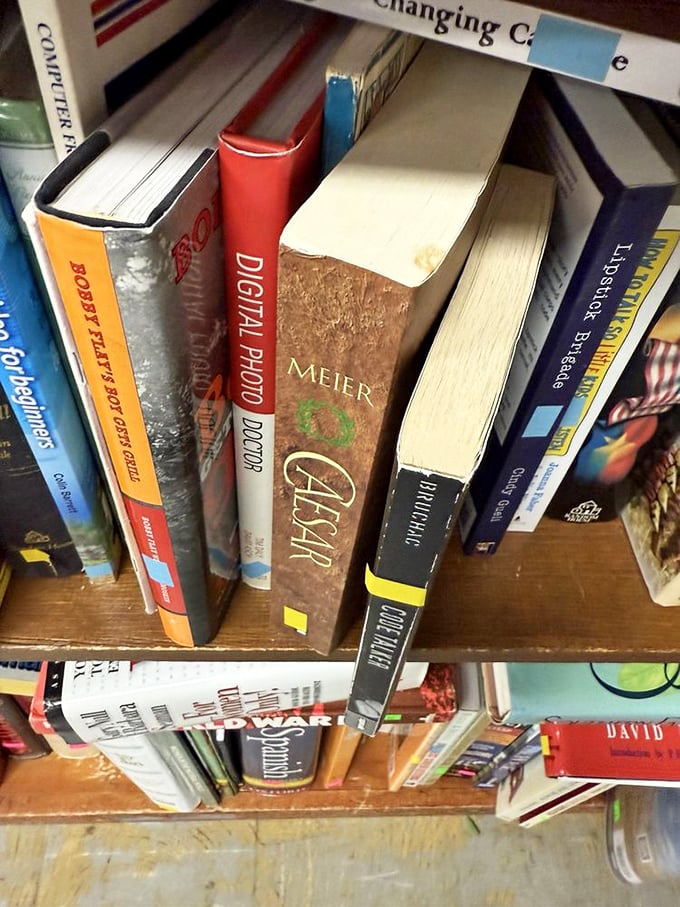 Books stacked with promise—each spine a doorway to another world, another perspective, another bargain adventure.
