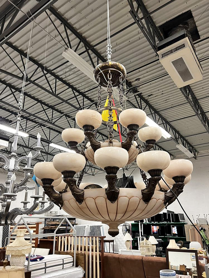 A magnificent chandelier dangles from industrial rafters—proof that elegance can be found in the most unexpected places, especially when you're thrift shopping.