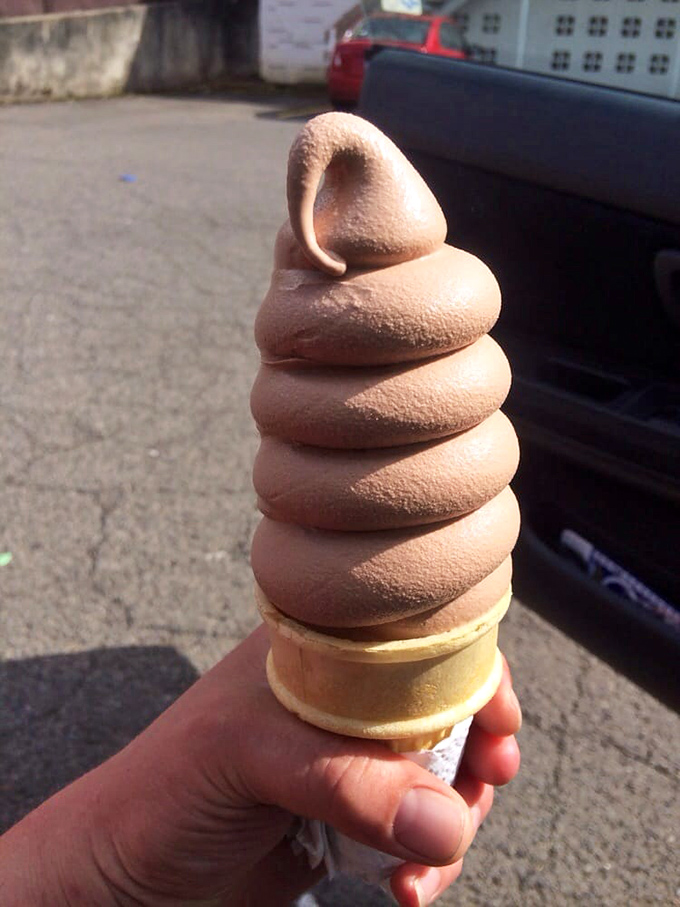 Soft-serve ice cream in a cone—the dessert that transcends age, class, and culinary pretension to deliver pure, uncomplicated joy.