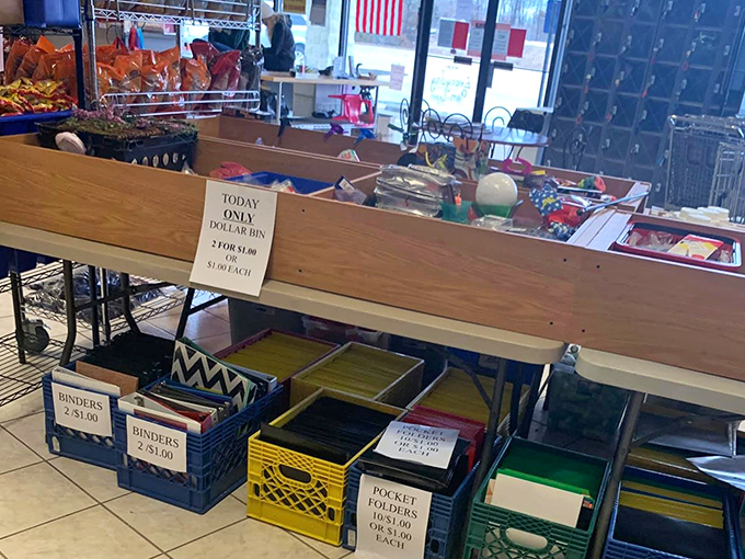 The legendary dollar bin—where budget-conscious shoppers become treasure hunters. Those colorful plastic bins hold organizational potential beyond their humble price tags.