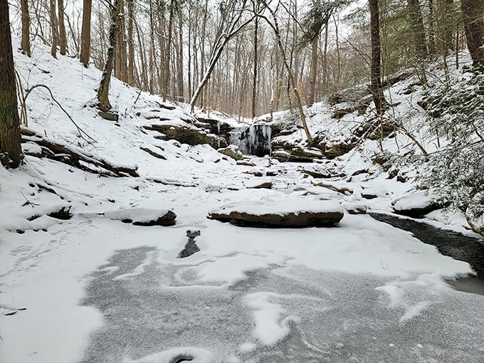 Winter transforms the falls into a frozen sculpture garden—worth the chilly hike for views you can't get any other time of year.