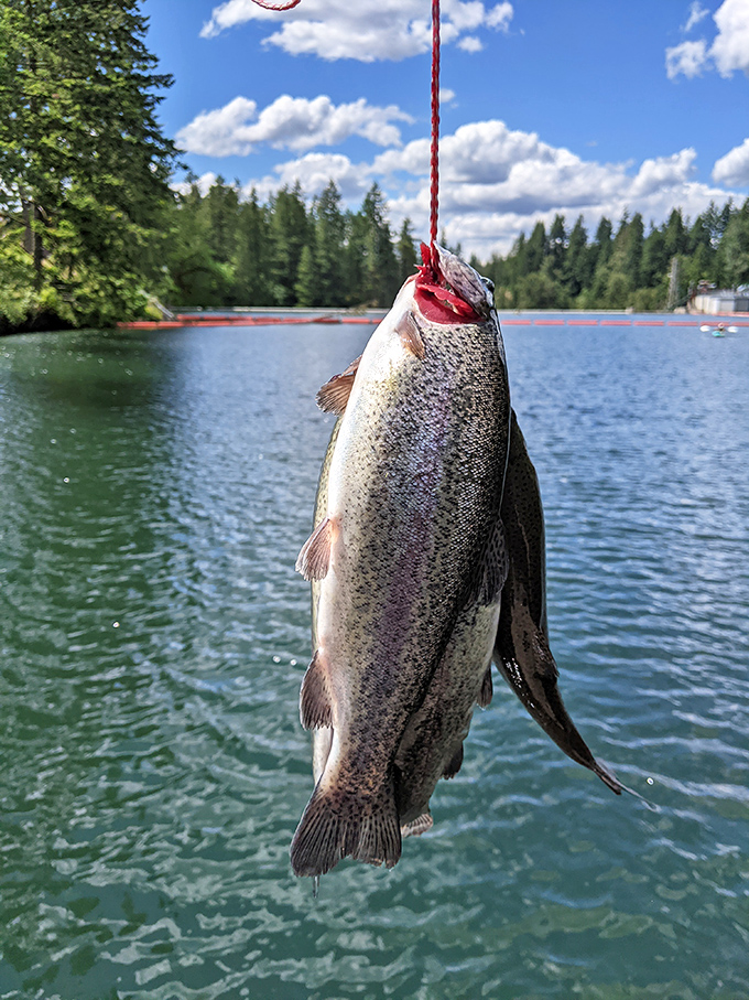 Fishing spots where patience isn't just a virtue – it's the secret ingredient for success.