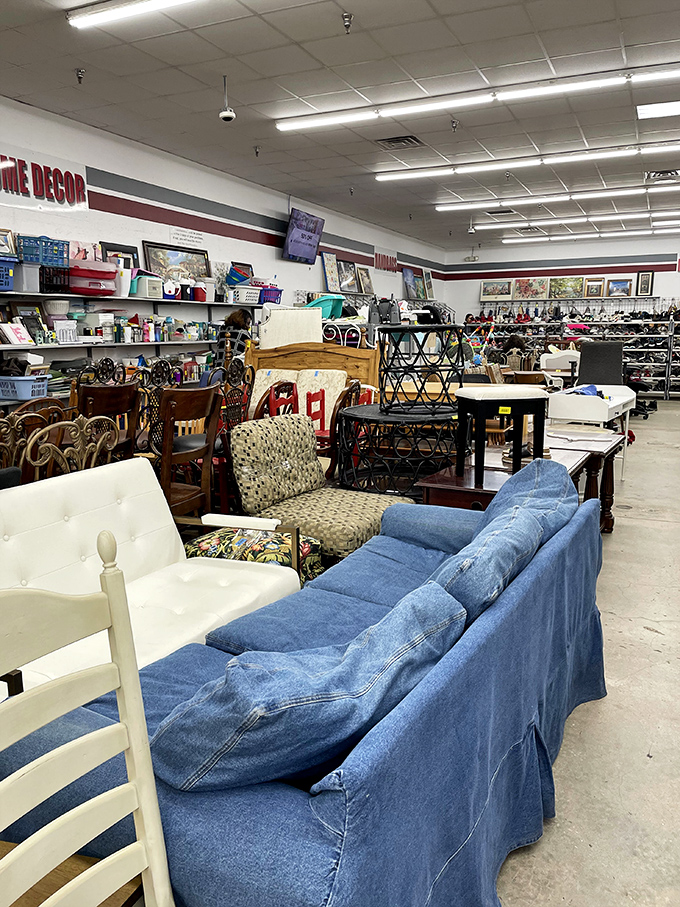 The furniture section showcases couches with character and chairs with stories, proving that comfort doesn't have to come with a four-digit price tag.
