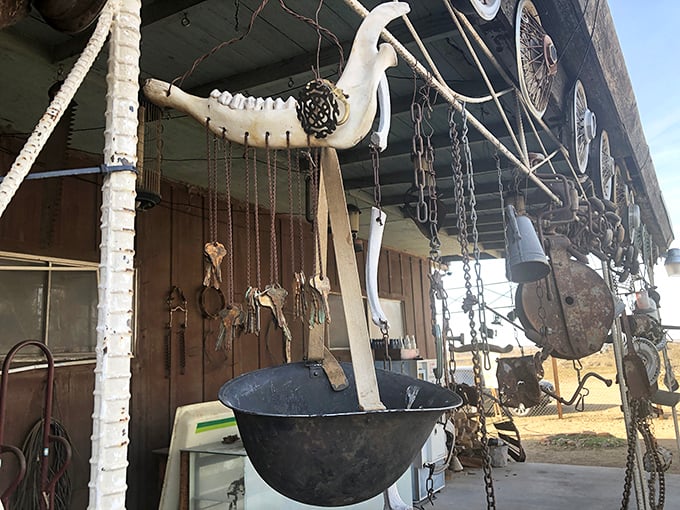What appears to be animal bones transformed into functional art – because in this desert wonderland, everything gets a chance at a second life.