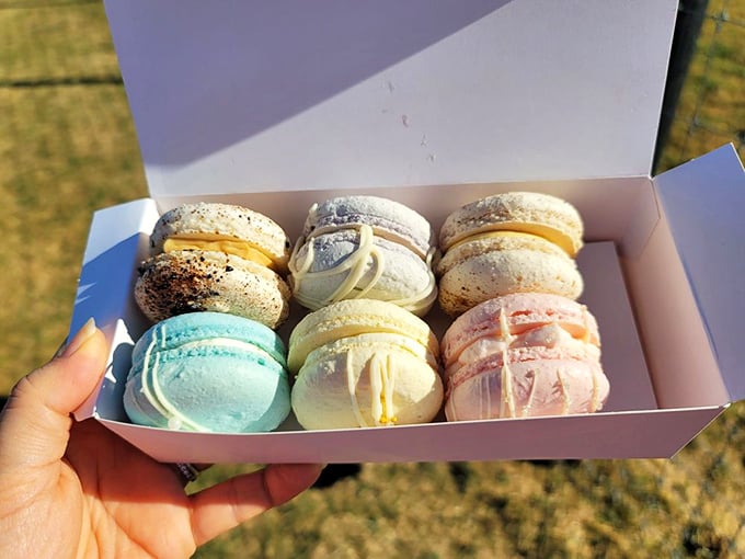 Macarons in a rainbow of colors that promise to transport you to Paris without the jet lag. Small in size, mighty in flavor.