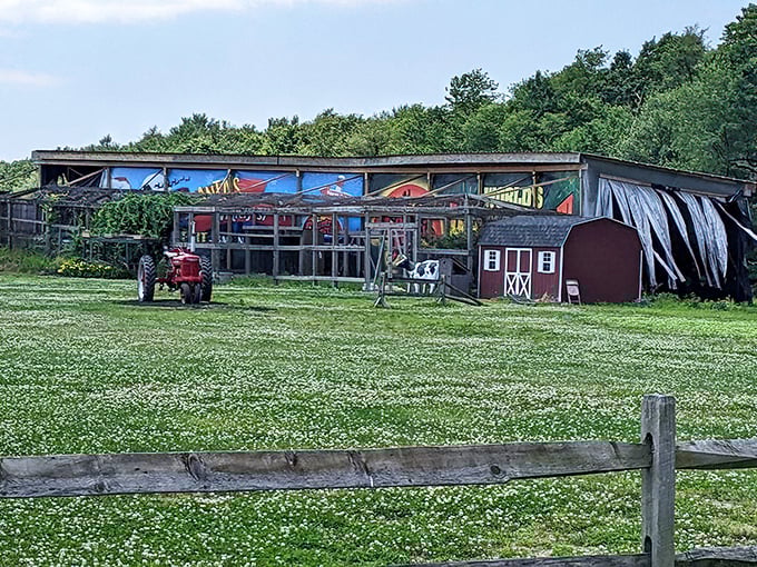 Beyond the main building, Country Junction's sprawling grounds include farm areas where the rural Pennsylvania experience extends beyond shopping.