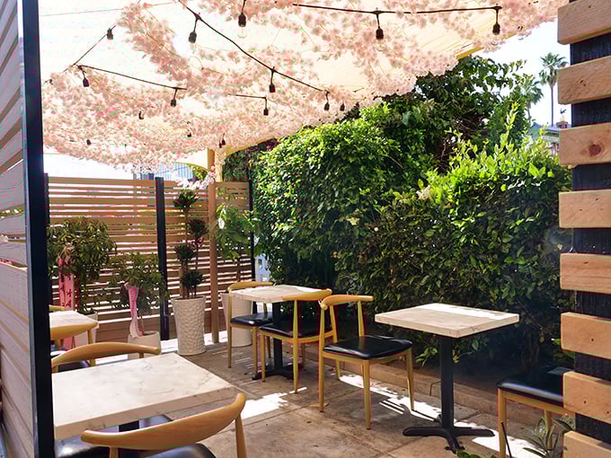 An outdoor oasis where cherry blossoms and California sunshine conspire to make your meal even more magical.