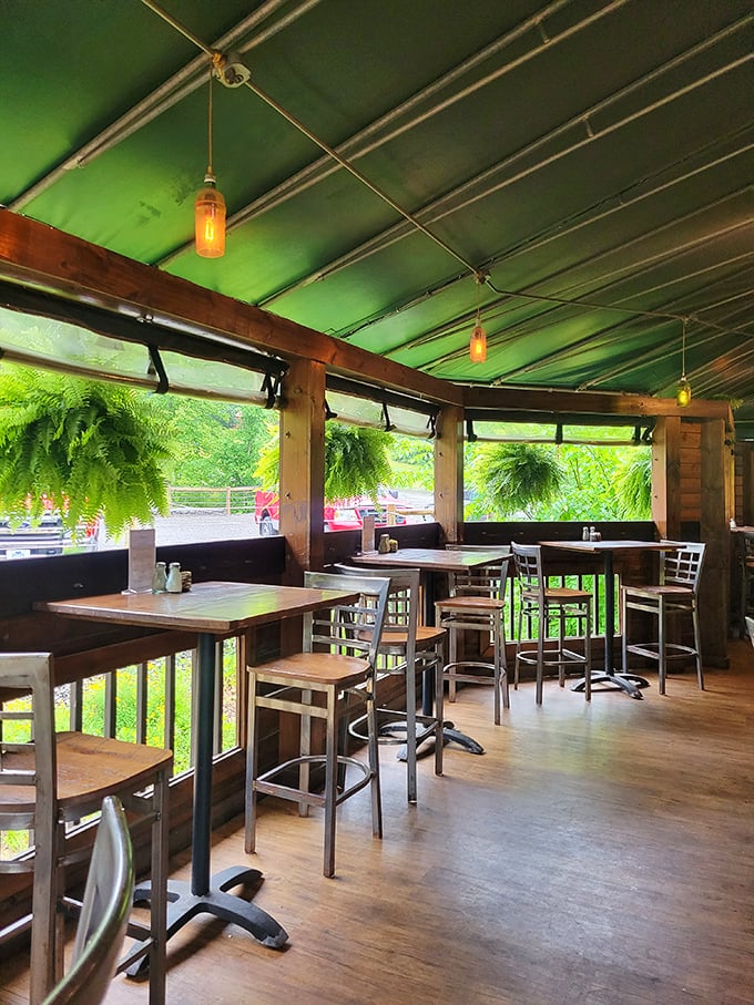 The outdoor seating area isn't just a patio—it's nature's dining room. Those hanging ferns create the perfect canopy for al fresco Pennsylvania feasting.