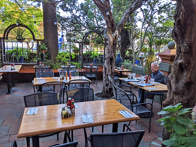 The outdoor patio at Tower Café, where trees grow through tables and Sacramento's weather finally makes sense. Dappled sunlight included at no extra charge.