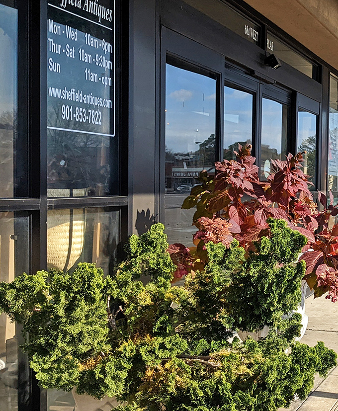 Even the entrance plantings offer a warm Southern welcome, with seasonal greenery framing your first steps into this treasure-filled wonderland.