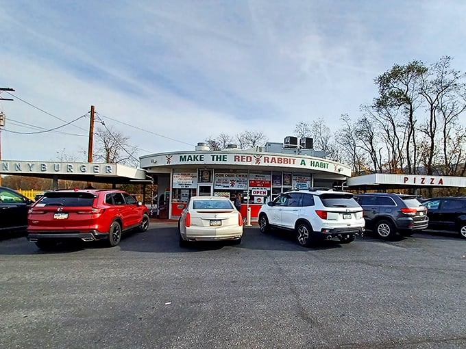 A packed parking lot tells the real story—when locals and travelers alike choose the same spot, you know you've found something special.
