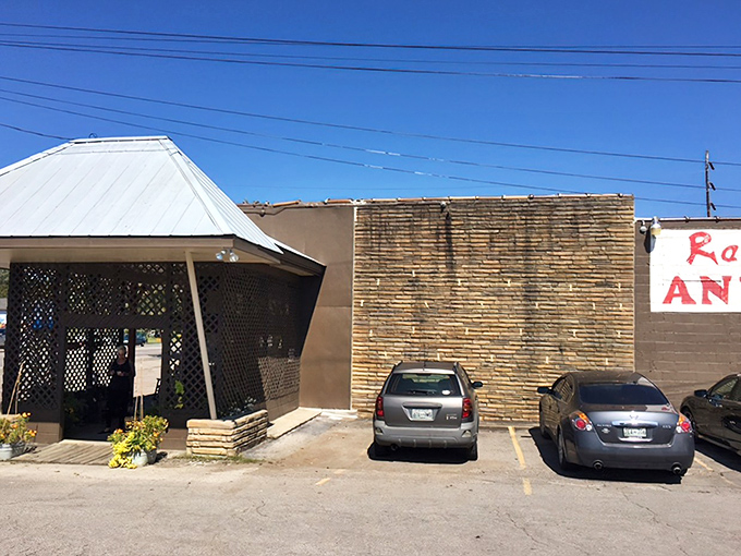 The unassuming exterior belies the wonderland within—like finding out the plain-looking diner actually serves the best pie in three counties.