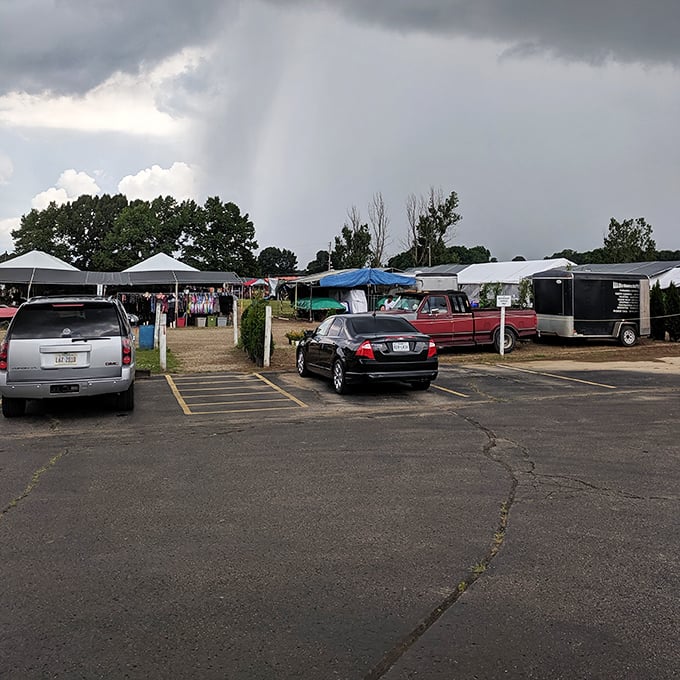 Storm clouds gather but can't dampen the spirits of dedicated shoppers—flea market veterans know the best deals happen right before the rain.