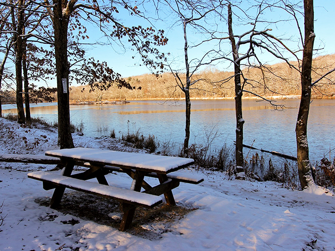 Winter picnics require commitment and extra cocoa. This snow-dusted table offers front-row seats to nature's most peaceful seasonal performance.