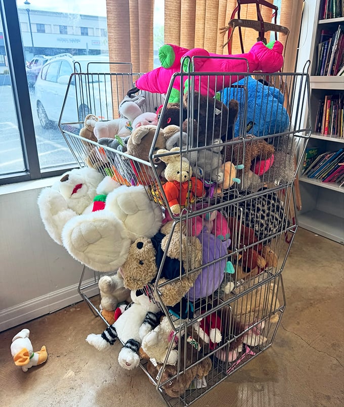 The stuffed animal retirement community—where well-loved teddy bears and forgotten flamingos await their second chance at cuddles.