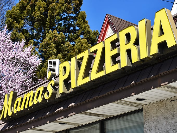 In spring, the cherry blossoms frame Mama's iconic yellow sign—nature's way of highlighting one of Pennsylvania's culinary treasures.