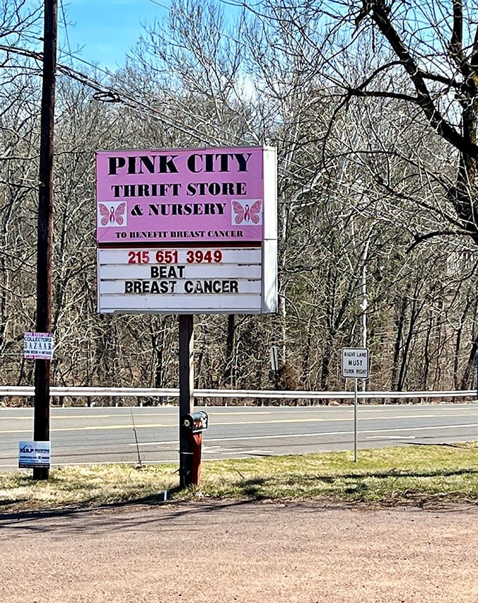 The roadside sign reveals Pink City's heartfelt mission: a thrift store and nursery benefiting breast cancer. Shopping with purpose never looked so good.