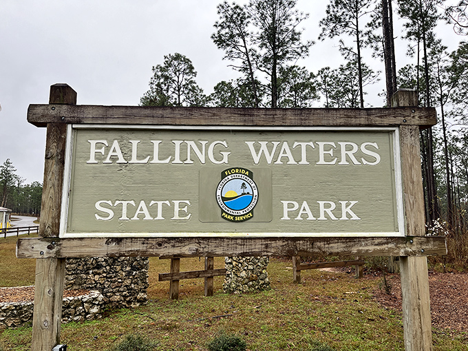 Your official welcome – this entrance sign marks the boundary between everyday Florida and a world of unexpected natural wonders.