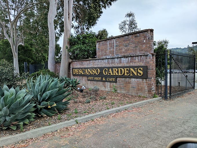 The entrance sign promises what lies beyond—a retreat where "descanso" (Spanish for "rest") isn't just a name, it's a guarantee delivered in flowers.