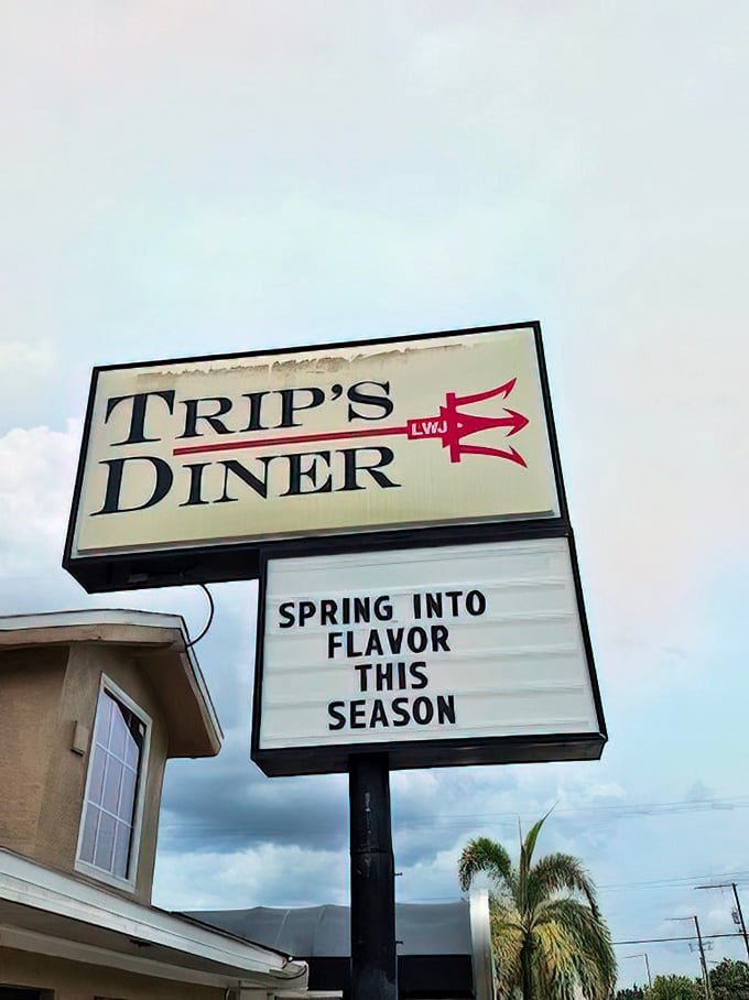 The Trip's Diner sign stands as a beacon of breakfast hope on Florida Avenue, promising flavor in every season and drawing hungry pilgrims from miles around.
