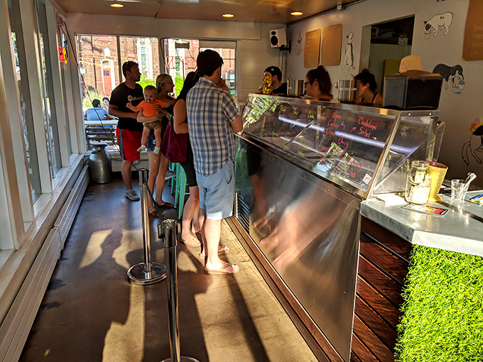 Where the magic happens. That gleaming counter isn't just serving ice cream—it's delivering moments of joy, one scoop at a time.