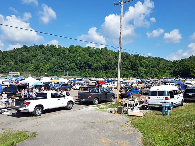 The view that makes first-timers gasp and veterans strategize—a sea of canopies and pickup trucks where Pennsylvania's greatest treasures await discovery.