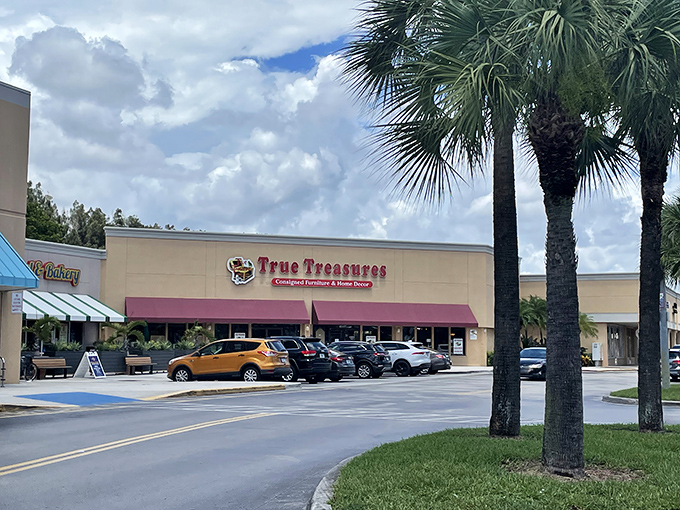 The exterior view showcases True Treasures in its natural habitat—a Florida strip mall elevated by royal palms and the promise of air conditioning inside.