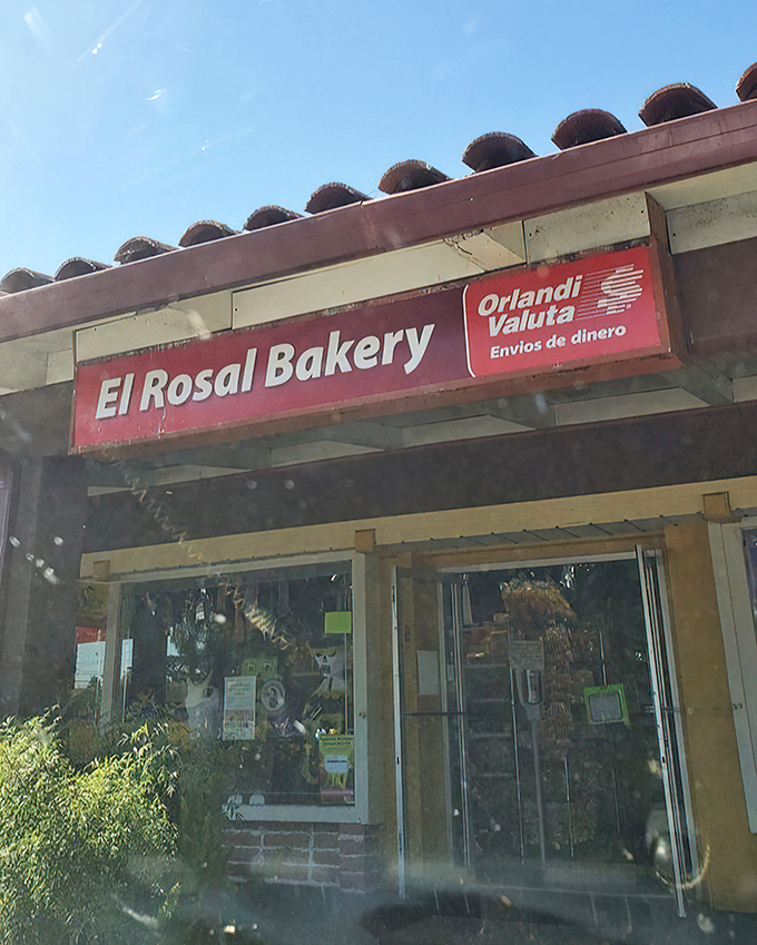 The simple red sign doesn't need fancy graphics or clever wordplay—the reputation of what's inside speaks volumes. In Santa Cruz, this storefront is a landmark for those in the know.