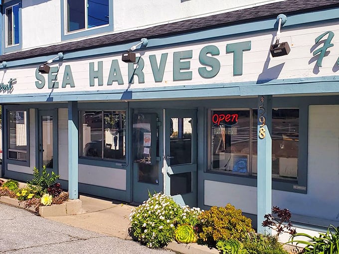 The welcoming storefront promises seafood salvation within. Those flowers aren't just decoration—they're a celebration of what awaits inside.