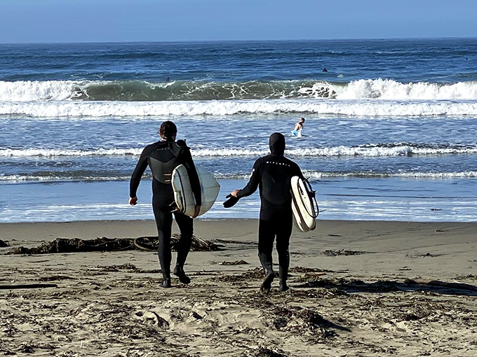 Wetsuit warriors preparing to dance with the Pacific. At Dillon Beach, surfing isn't just a sport—it's a conversation with the ocean.