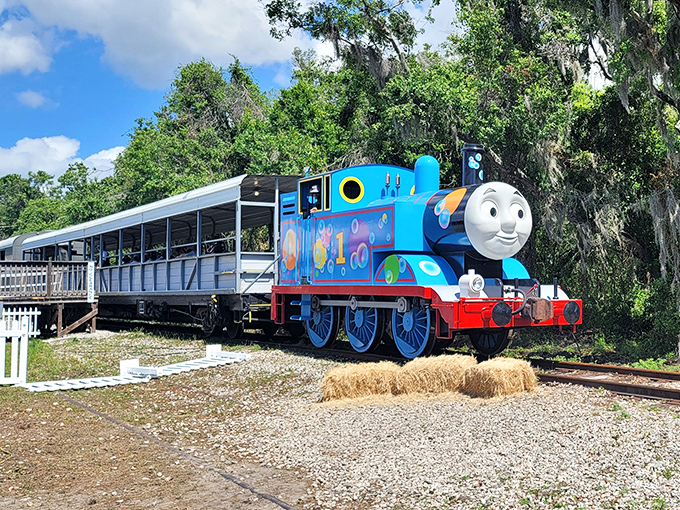 The star of countless childhoods pulls into the station – Thomas the Tank Engine makes special appearances at the museum, delighting generations of fans.