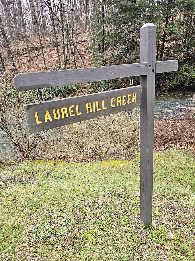 "Laurel Hill Creek" isn't just a sign—it's an invitation to follow the water to places that will make your Instagram followers jealous.