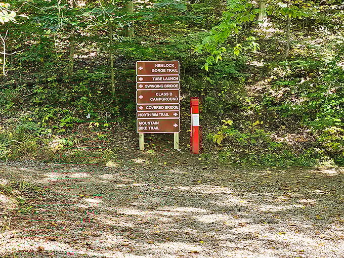 Trail signs pointing in all directions – nature's version of a choose-your-own-adventure book where every ending involves spectacular views and tired legs.