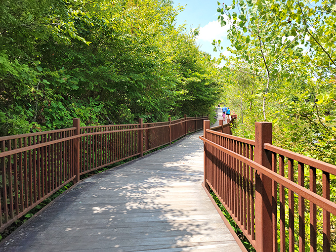 The boardwalk invites exploration without disturbing delicate ecosystems. Like having VIP access to Earth's geological greatest hits tour.