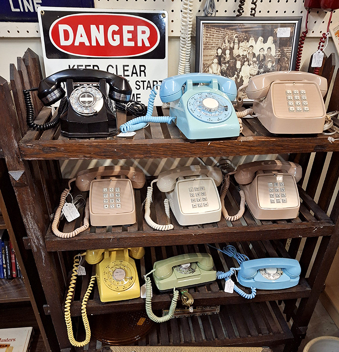 Before smartphones ruled our lives, these colorful rotary phones connected us—each one a technological fossil from when "hanging up" was a literal action.