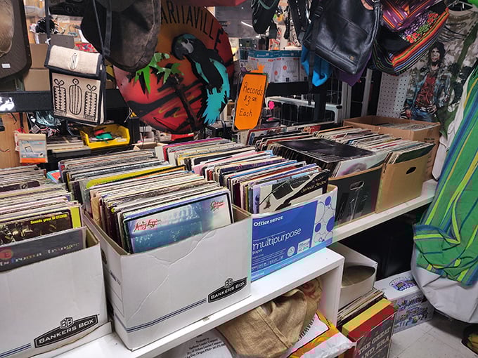 Vinyl records organized with the care of a music archivist—that album your first love made you listen to is probably hiding here.