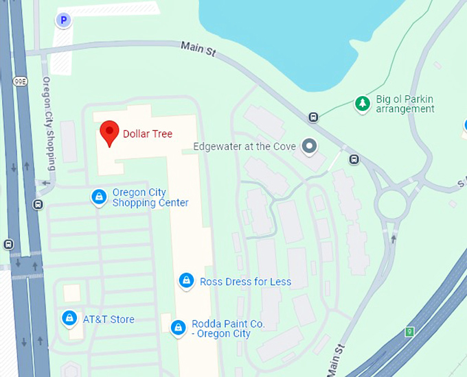 16. dollar tree map